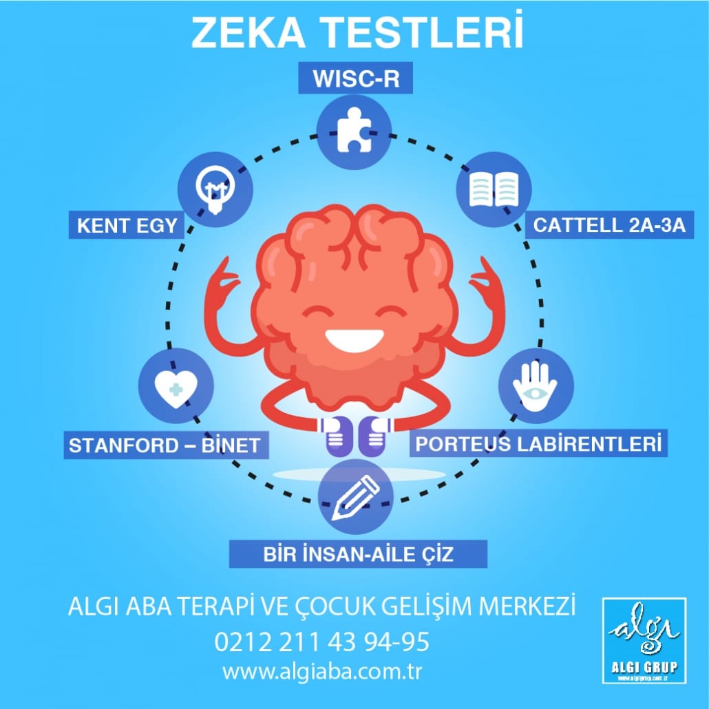 Zeka Testleri – Algı ABA Terapi ve Çocuk Gelişim Merkezi